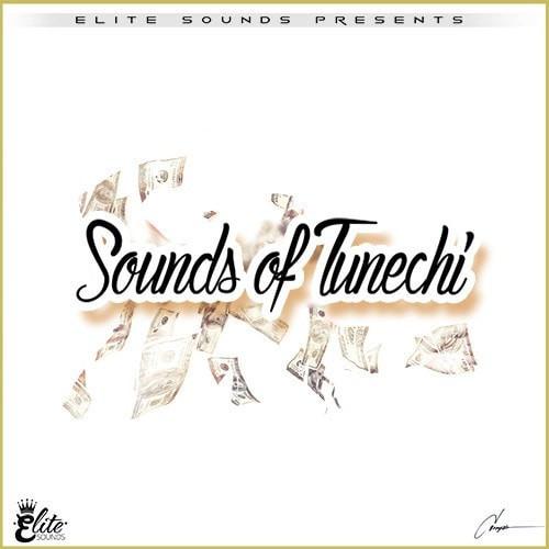Sounds Of Tunechi (Lil Wayne Type Beats) | Modern Producers